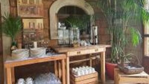 Quarto rústico com parede de tijolos, móveis de madeira e plantas em vasos.