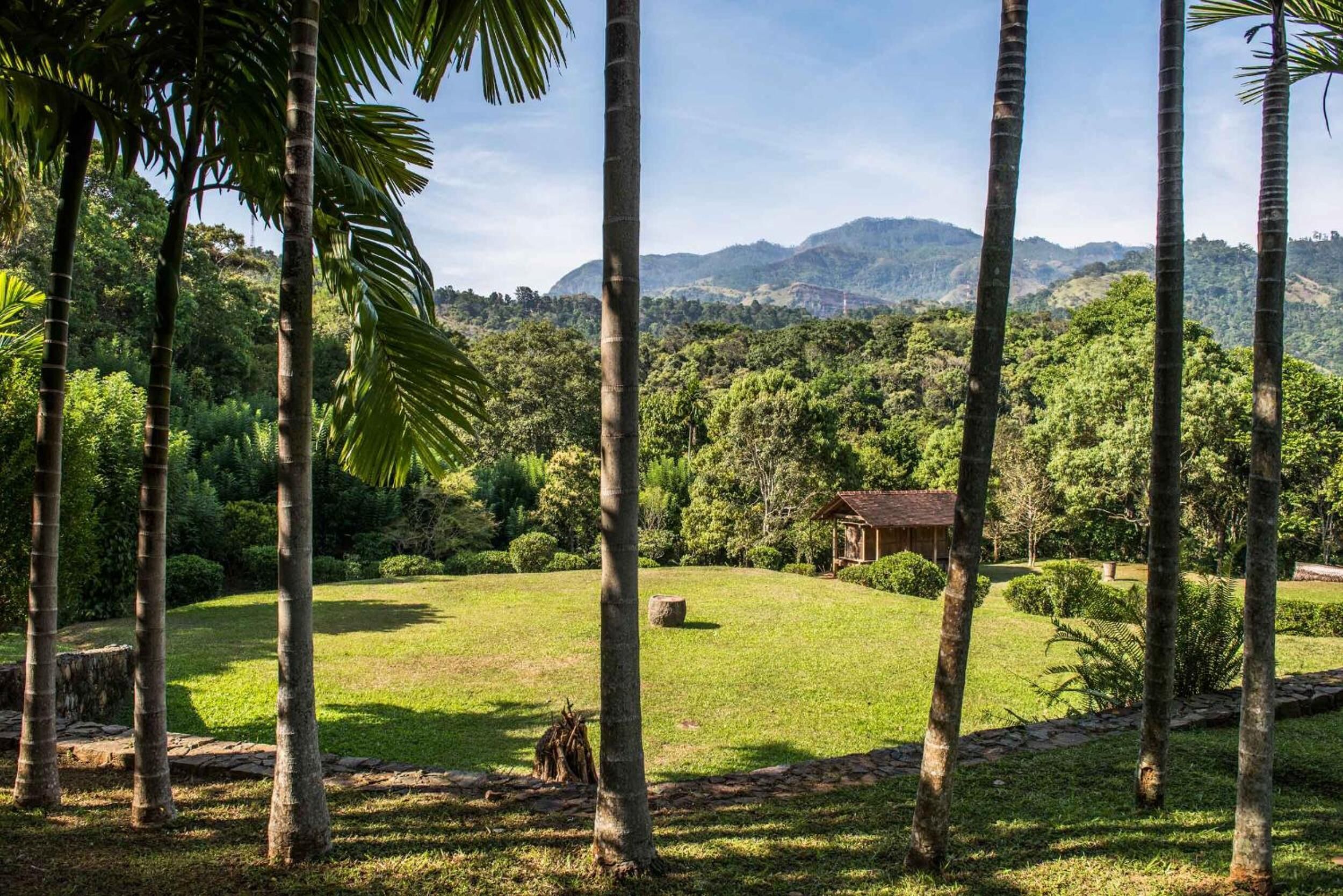 Área da propriedade