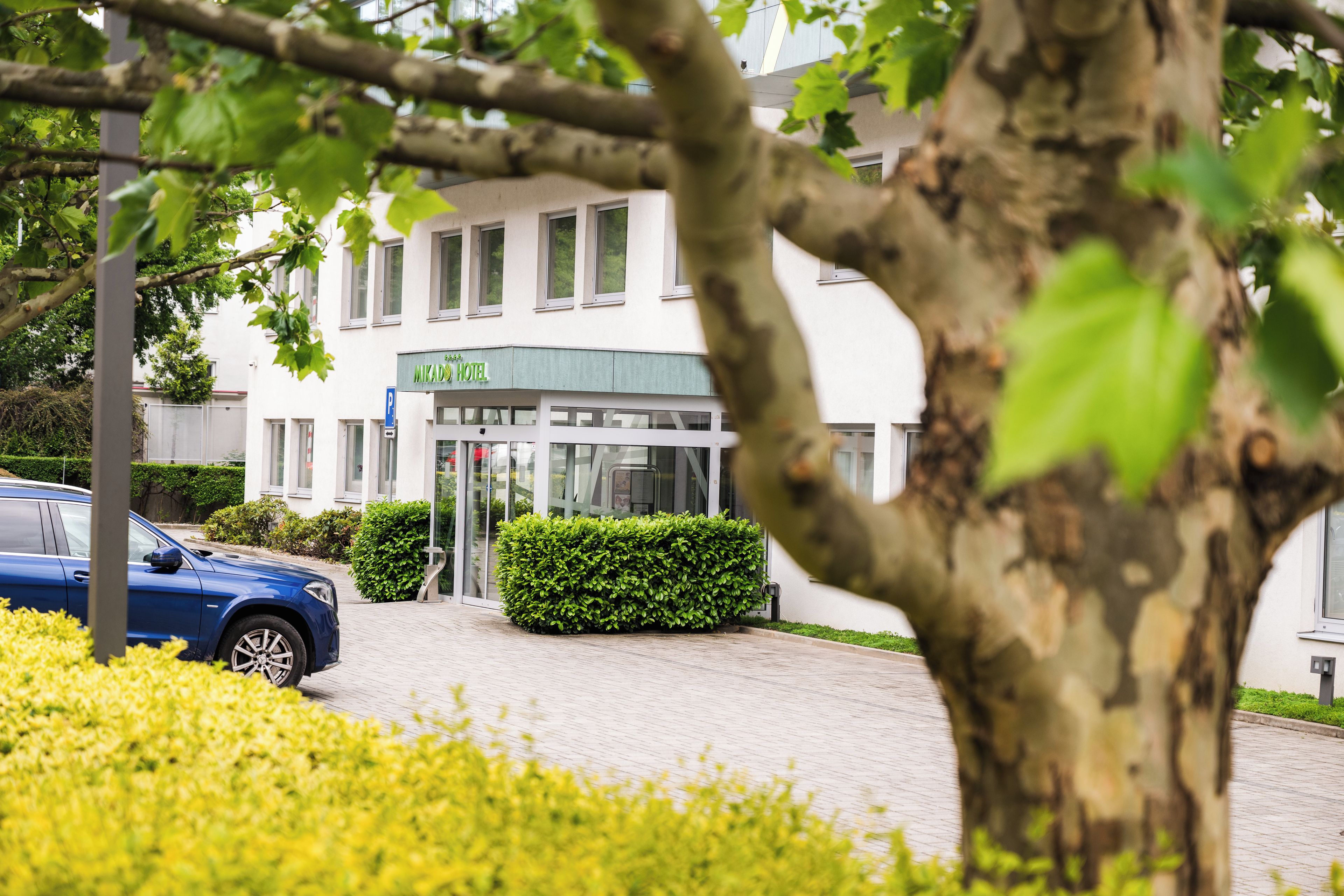 Entrada da propriedade