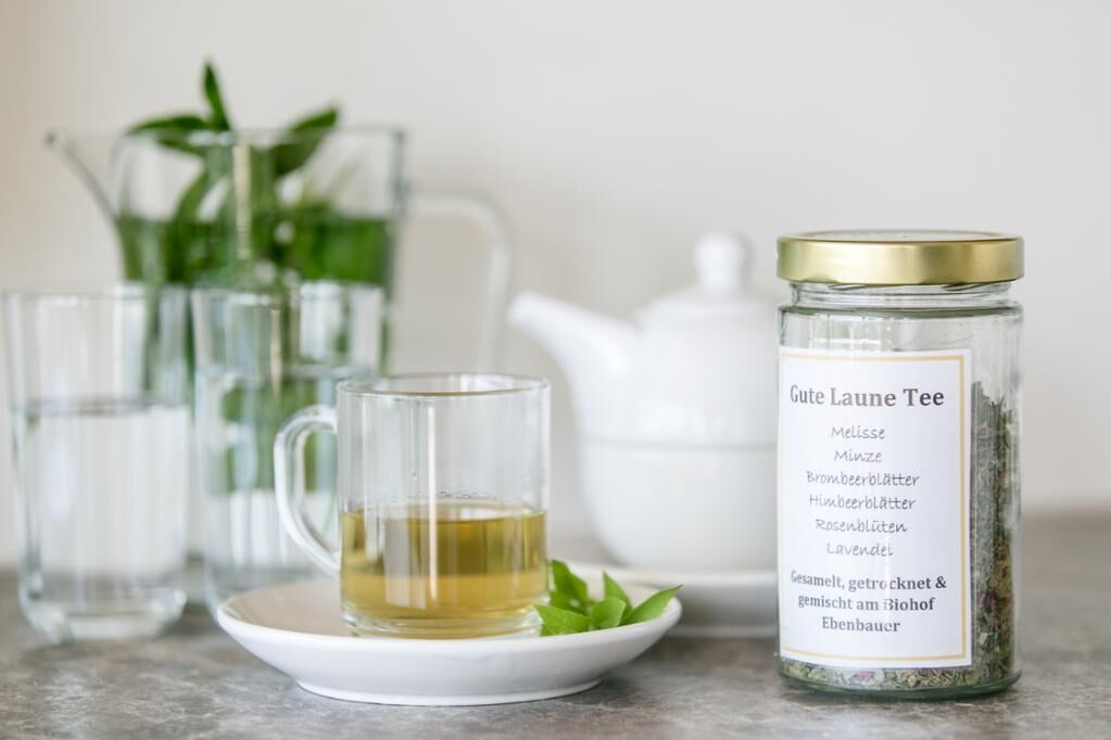 Maison De Vacances Sans Barrières (60 M²) Avec Accès Au Jardin - Basse-Autriche