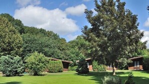 Jardim