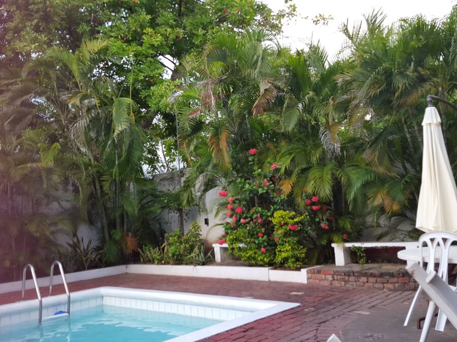 Piscina com borda azulejada, rodeada por vegetação exuberante e uma mesa branca de exterior com cadeiras.
