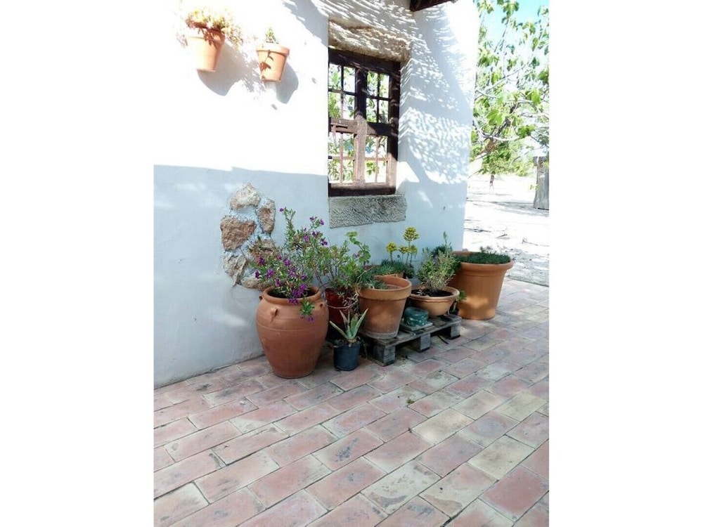 El Olivar De Las Pepinas,  Piscina, Wifi, Barbacoa - Yecla