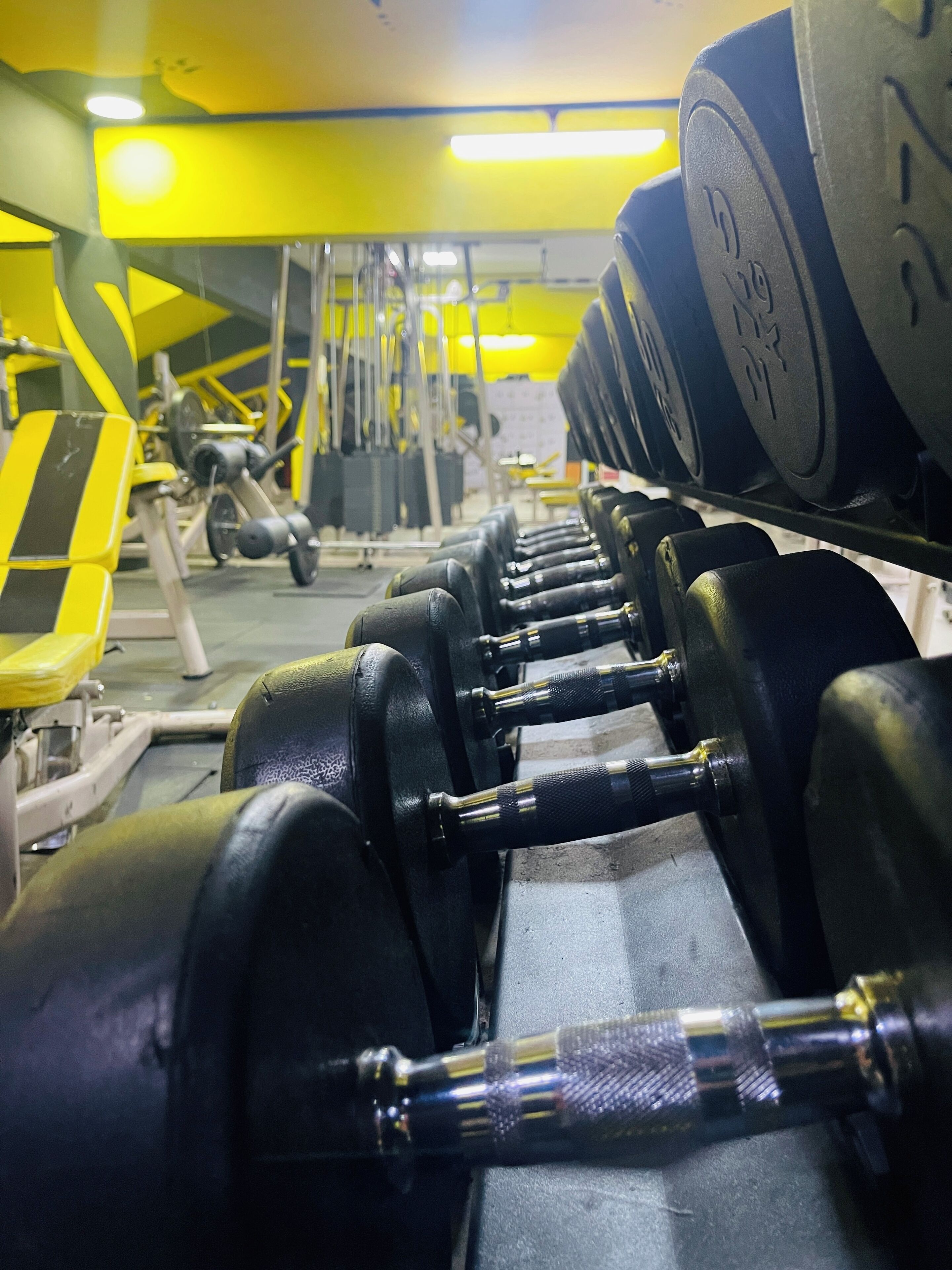 Diversos halteres pretos com marcações de peso em um suporte em uma academia.