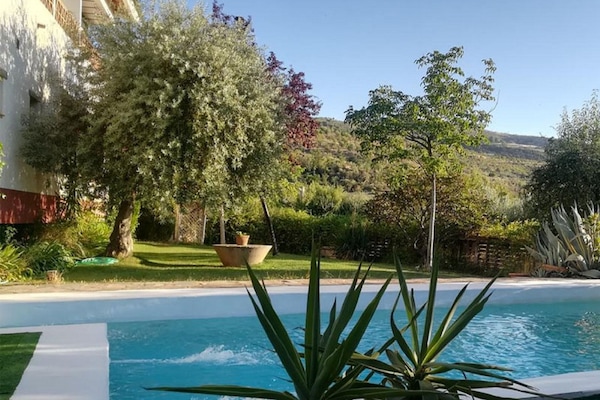 Piscina externa, espreguiçadeiras
