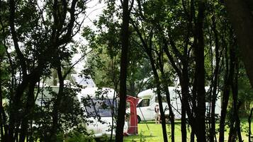 Uma área arborizada com uma motorhome branca e uma tenda vermelha ao fundo.