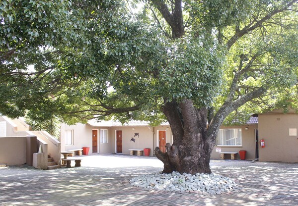 African Sky Bed And Breakfast - Krugersdorp