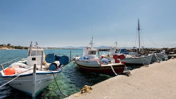 Pesca