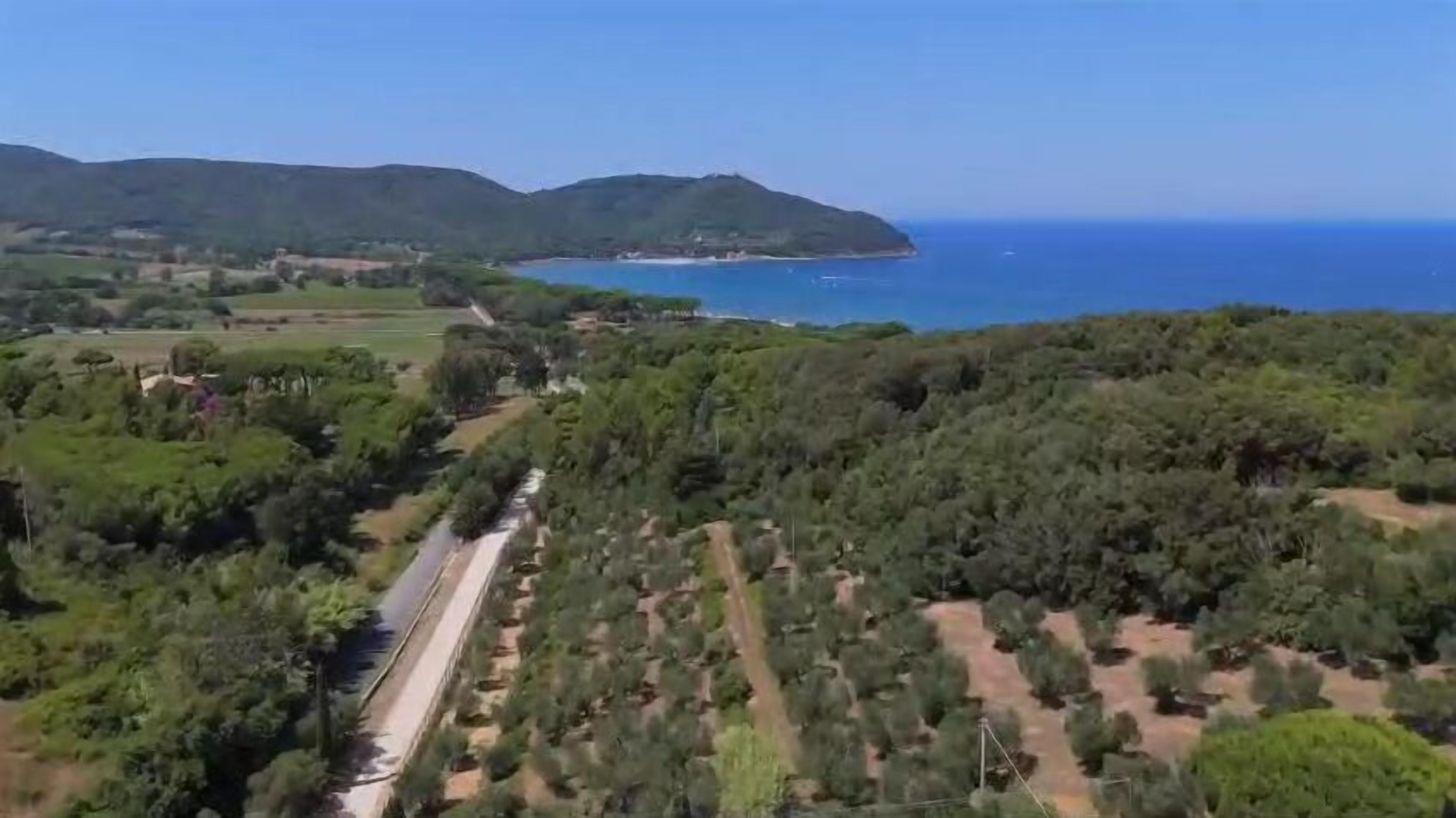 Paisagem costeira com estrada, vegetação densa e vista distante do mar e colinas.