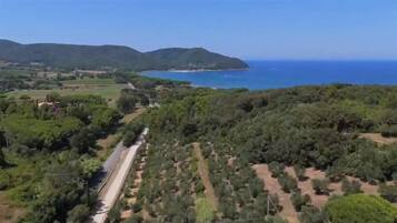 Paisagem costeira com estrada, vegetação densa e vista distante do mar e colinas.