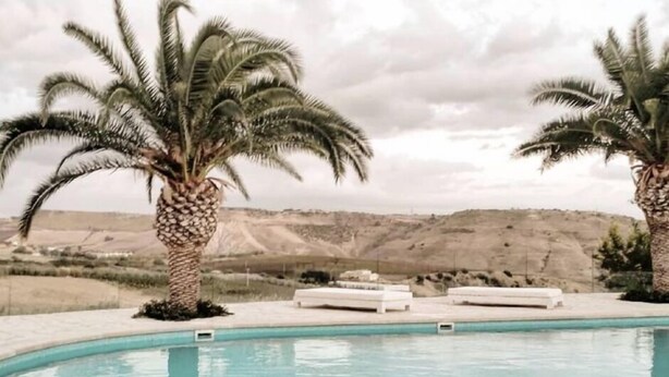 Área de piscina com um cão deitado junto à piscina, palmeiras e uma paisagem montanhosa ao fundo.