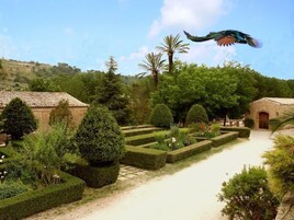 Área da propriedade