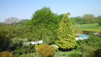 Um jardim exuberante com diversas árvores e arbustos, uma piscina e um gramado bem cuidado.