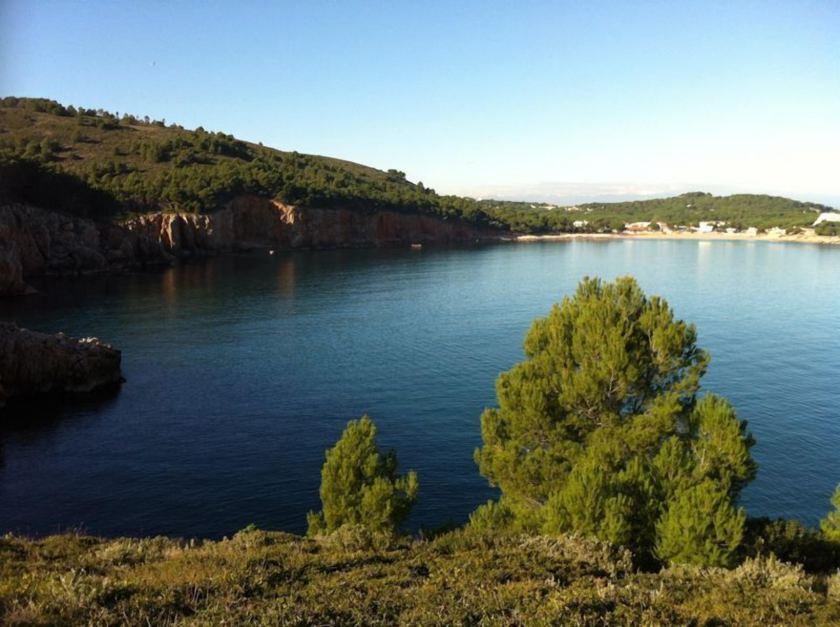 Paisagem costeira com mar calmo, falésias rochosas e vegetação.