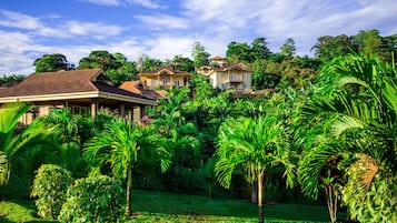 Jardim