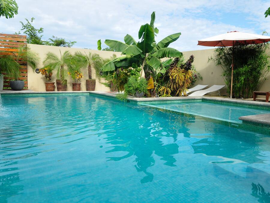 Piscina externa, funciona das 8h às 20h, espreguiçadeiras