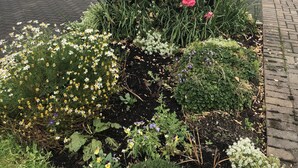 Uma área de jardim com diversas plantas floridas e uma mesa para piquenique.