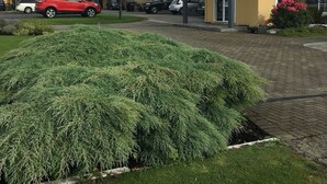 Um edifício com fachada amarela, entrada coberta e área de estacionamento com vários carros.