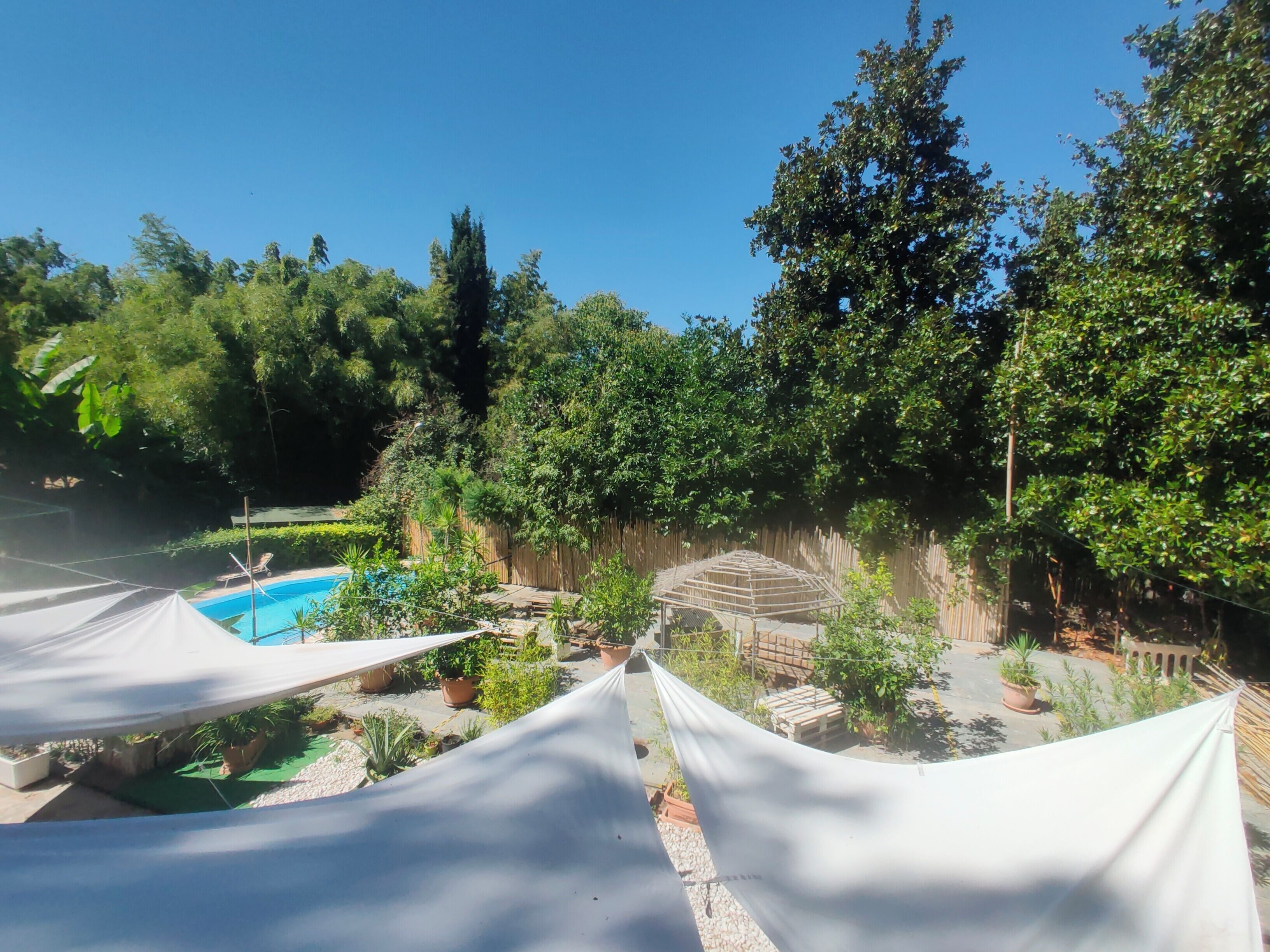 Uma área de piscina com cerca de madeira, plantas em vasos e uma pérgula.
