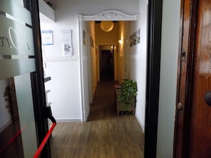Um corredor estreito com piso de madeira, uma planta e quadros nas paredes.