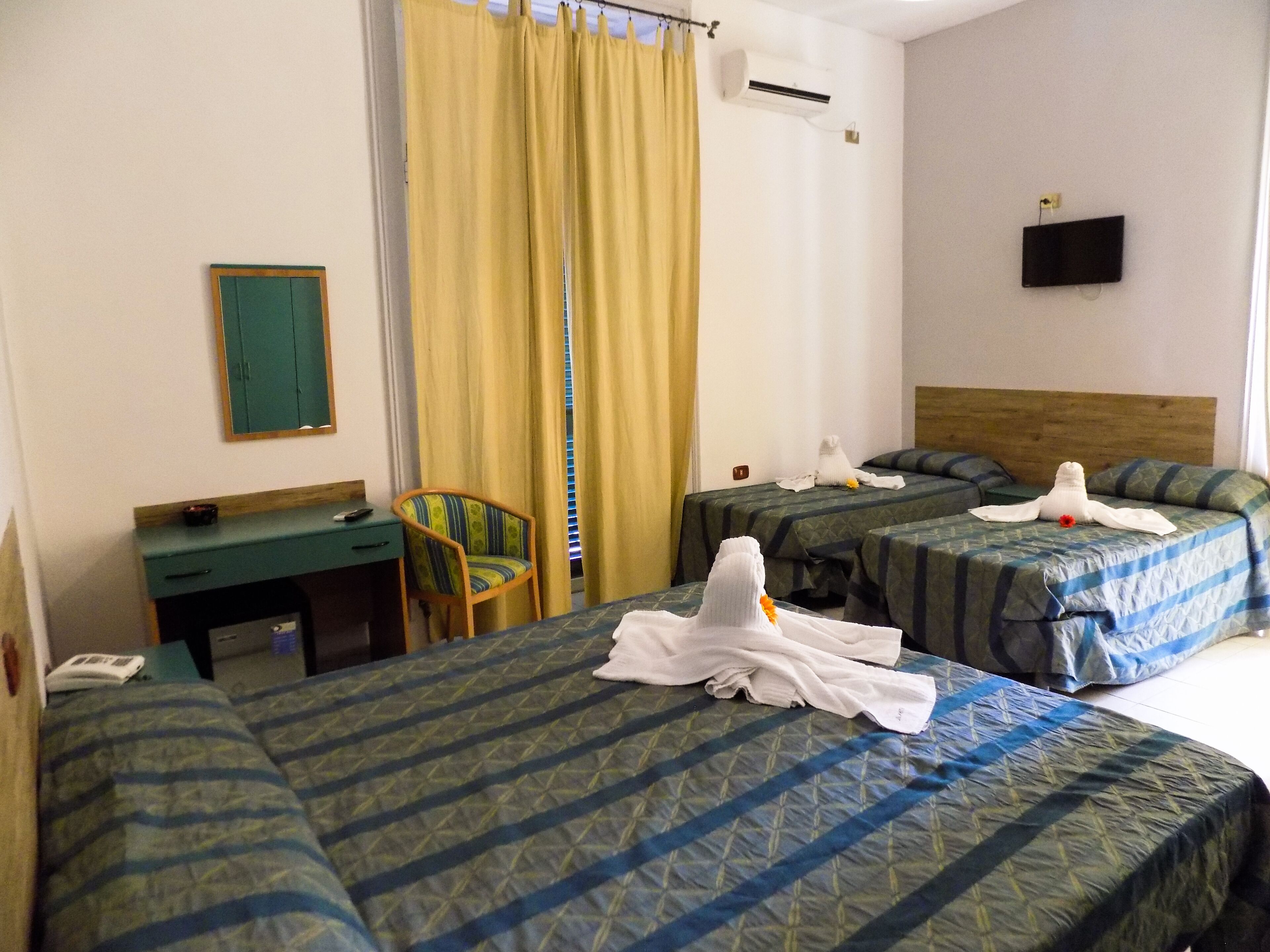 1 quarto, roupas de cama de algodão egípcio, roupas de cama premium
