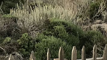 Um farol numa colina com uma vedação de madeira em primeiro plano.