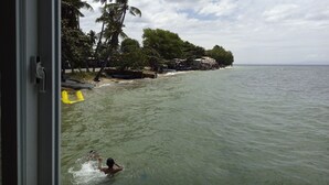 Vista da praia com palmeiras e uma casa à beira-mar.