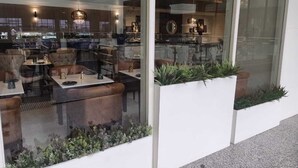 Uma área de estar interna moderna, com divisórias de vidro, assentos acolchoados e plantas em vasos.