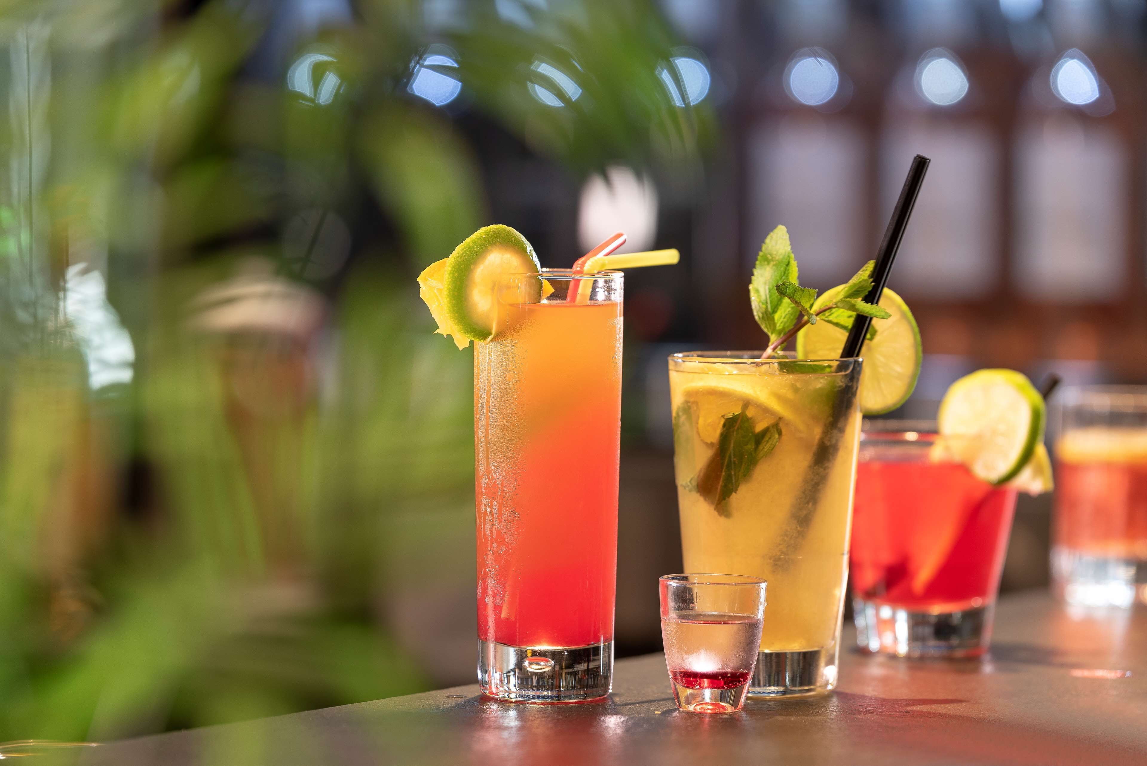 Diversas bebidas sobre um balcão de bar, com um fundo desfocado de vegetação.