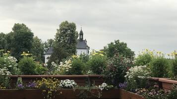 Um jardim com várias flores e um edifício com uma torre ao fundo.