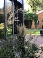 Jardim