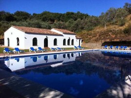 Piscina exterior, espreguiçadeiras 