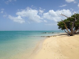 Perto da praia, mergulho, snorkel, esqui aquático 