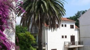 Um edifício branco com varandas, uma palmeira e flores roxas.
