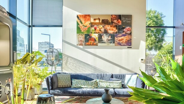 Uma sala de estar moderna com uma janela grande, um sofá, uma mesa de centro e diversas plantas.