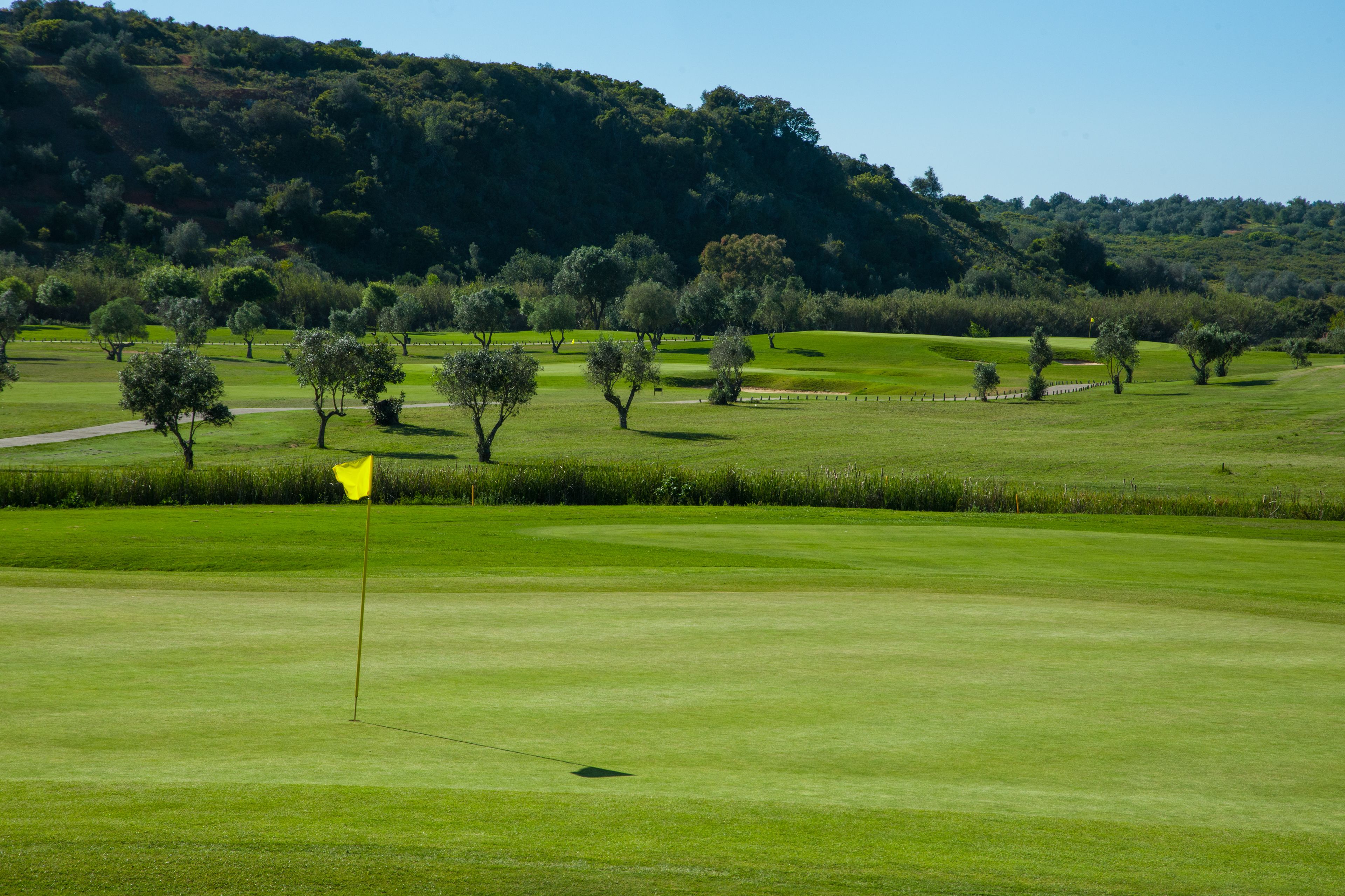 Um campo de golfe com um mastro de sinalização em primeiro plano, rodeado por relva bem cuidada e árvores.