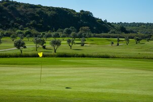 Um campo de golfe com um mastro de sinalização em primeiro plano, rodeado por relva bem cuidada e árvores.