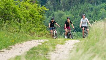 Três ciclistas em um caminho de terra cercados por vegetação.