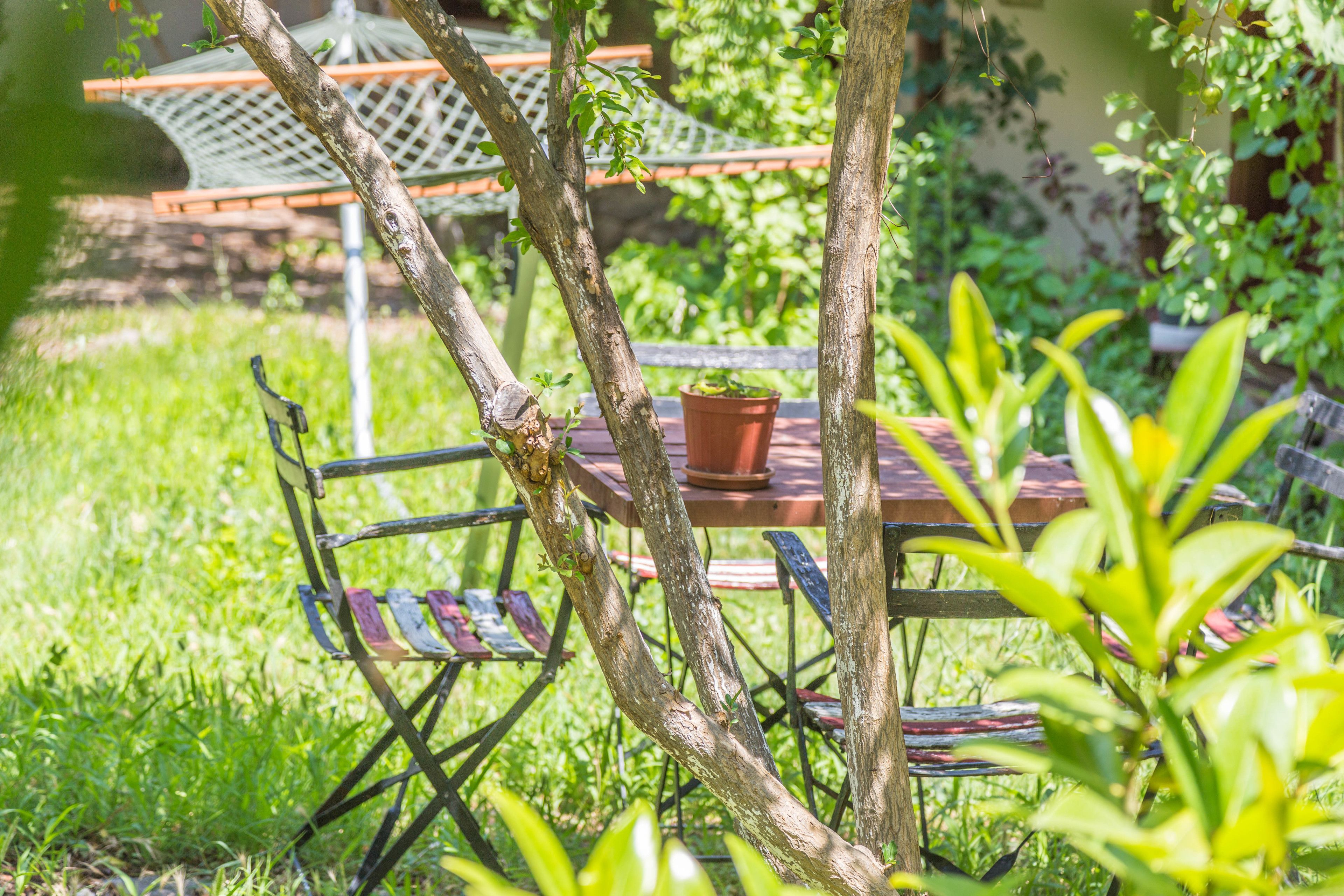 Um jardim com mesa de madeira e cadeiras de metal, rodeado por vegetação e uma pérgula.