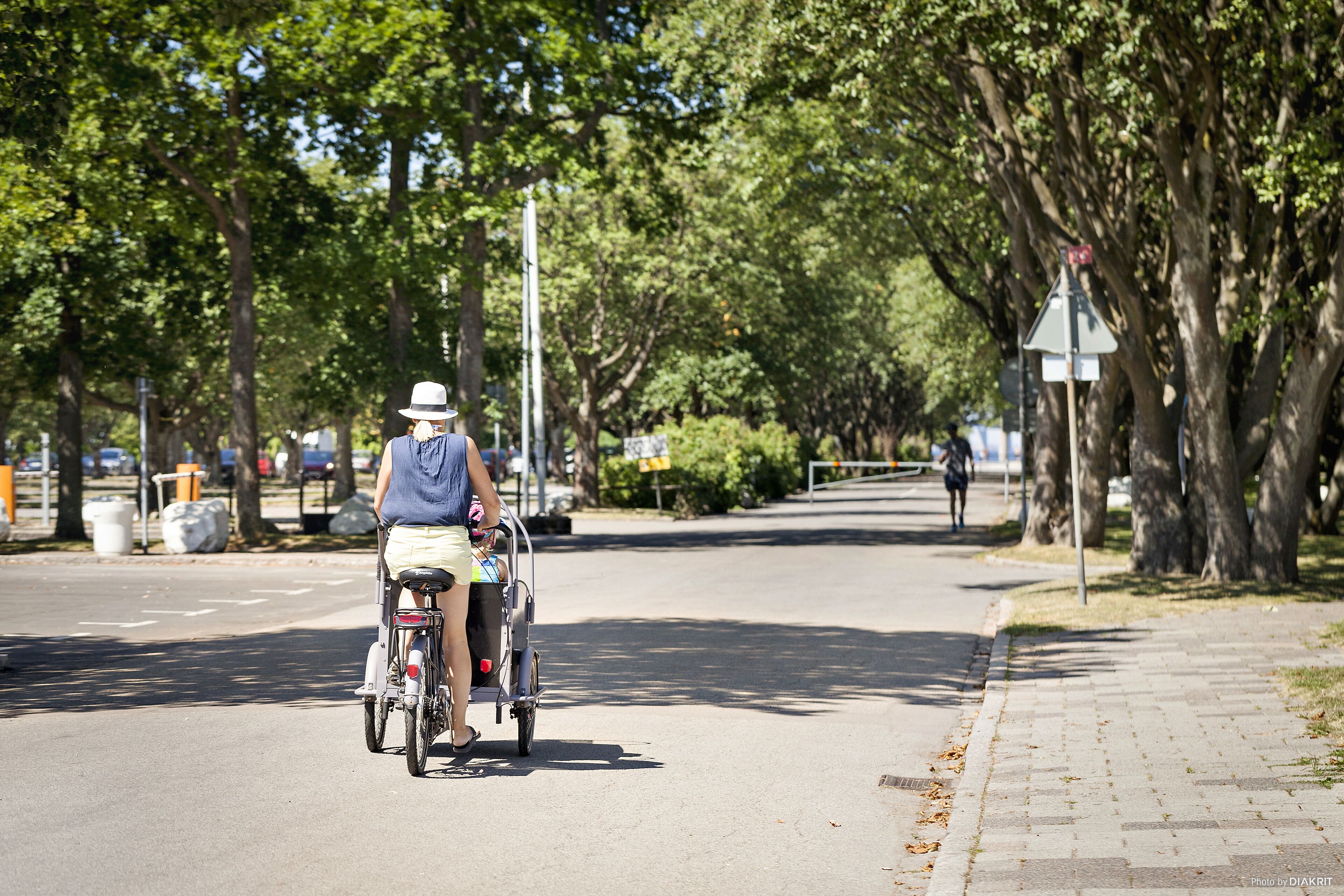 Uma pessoa andando de bicicleta com cadeirinha infantil em uma rua arborizada.
