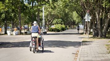 Uma pessoa andando de bicicleta com cadeirinha infantil em uma rua arborizada.