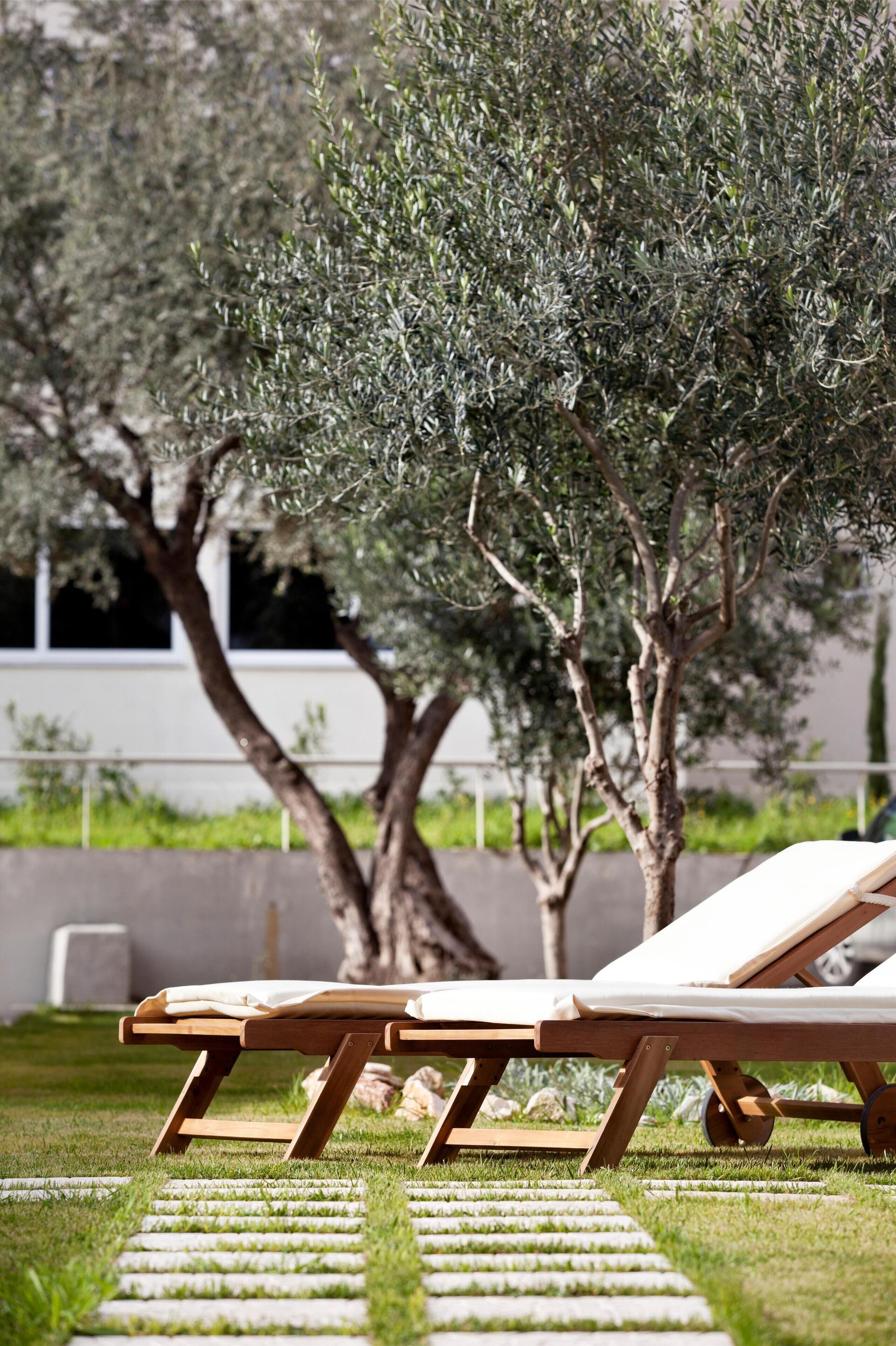 Terraço/pátio interior