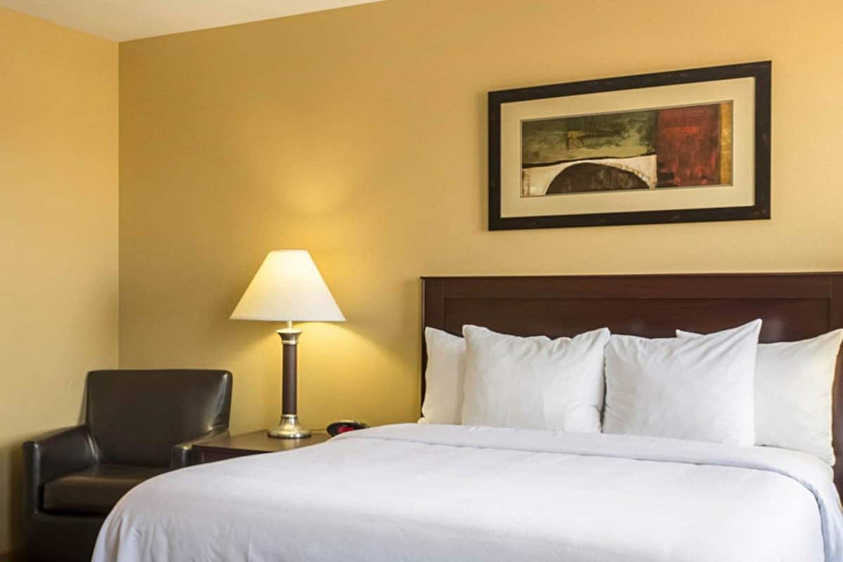 Quarto de hotel com uma cama grande, uma cadeira, uma mesa de cabeceira com abajur e um quadro na parede.