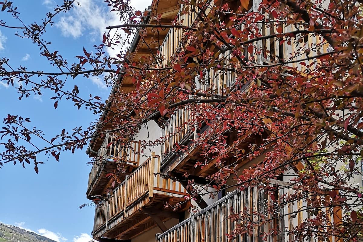 Vista da propriedade