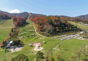 Um camping com tendas, área de piquenique e trilha para caminhada.