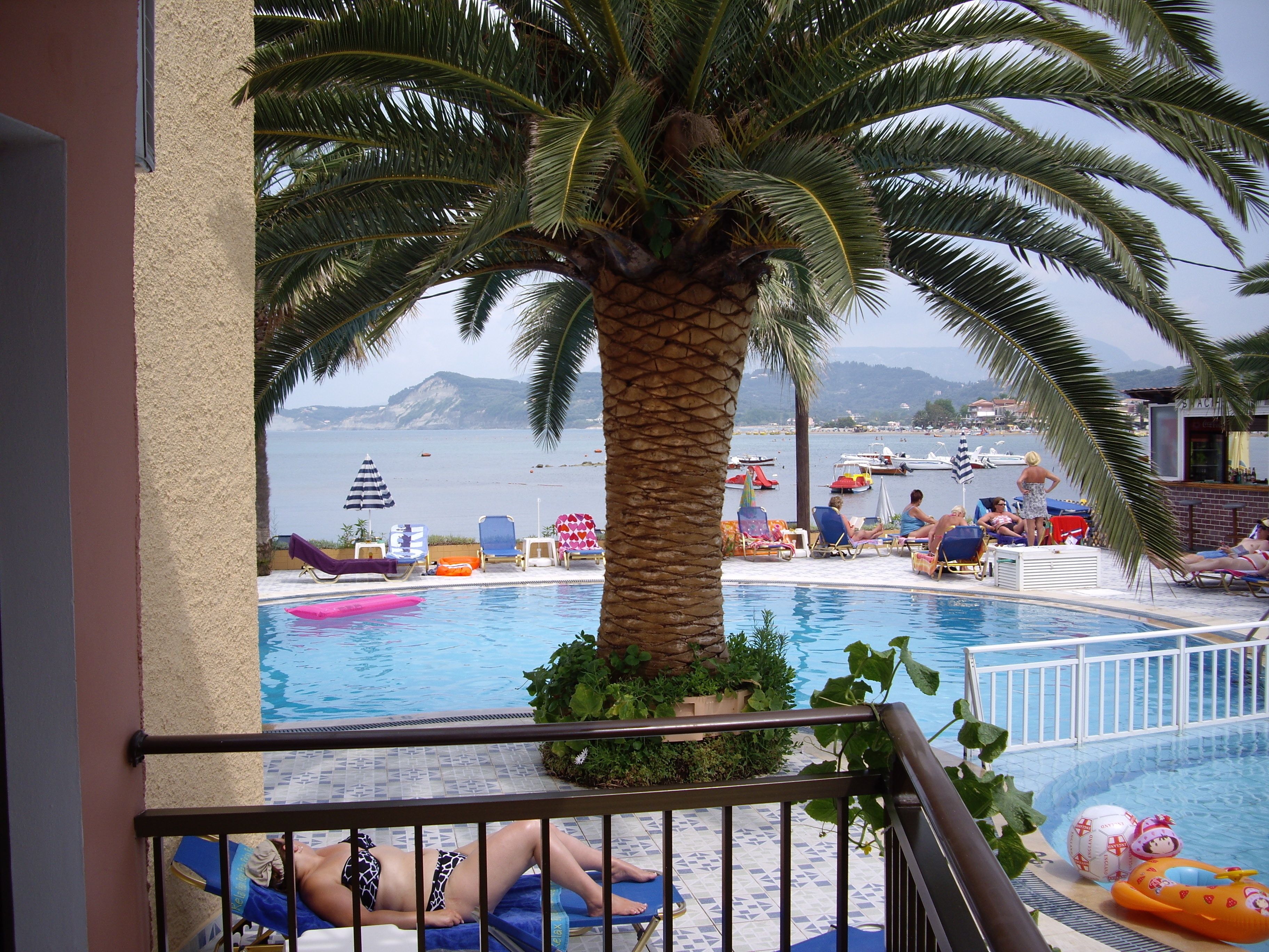 Uma área à beira da piscina com espreguiçadeiras, uma palmeira e vista para o mar.