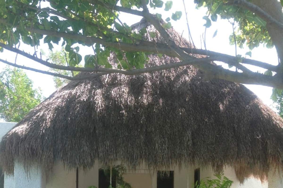 Uma construção com telhado de palha e fachada branca, com duas plantas em vasos e uma cadeira no centro.