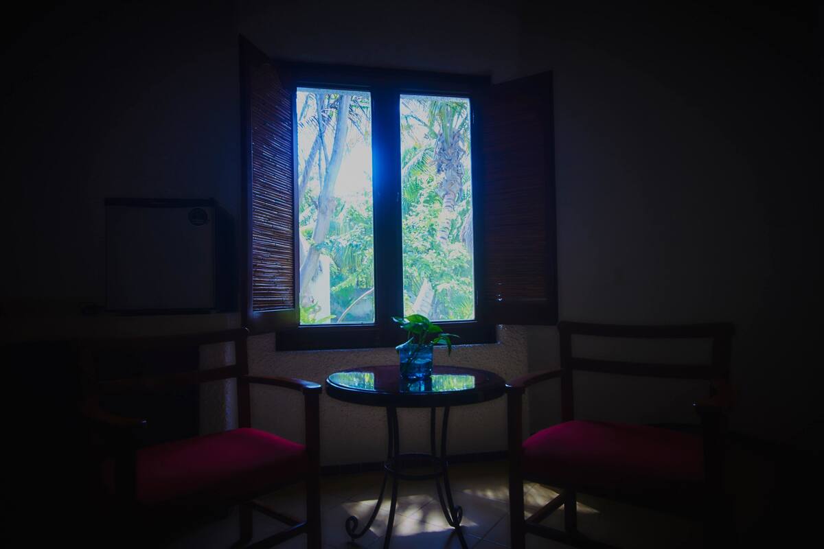 Um quarto com janela, uma mesa com planta e duas cadeiras.