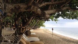 Uma praia com cadeiras de praia de vime sob uma árvore, um balanço e um banco.