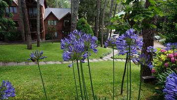 Terrenos do alojamento